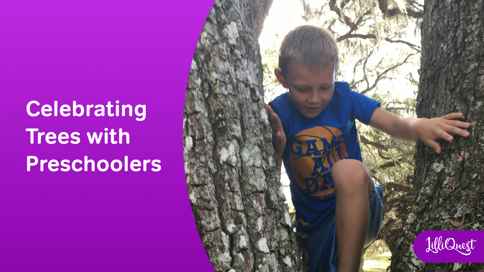 Celebrating Trees with Preschoolers • Lilliquest